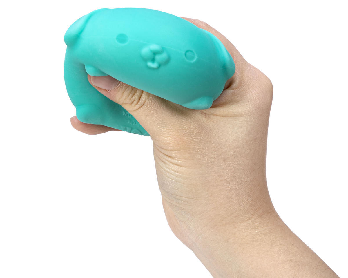 Schylling Funky Pup Nee Doh Assorted (12) [SCYFPND_BOX] | eBay