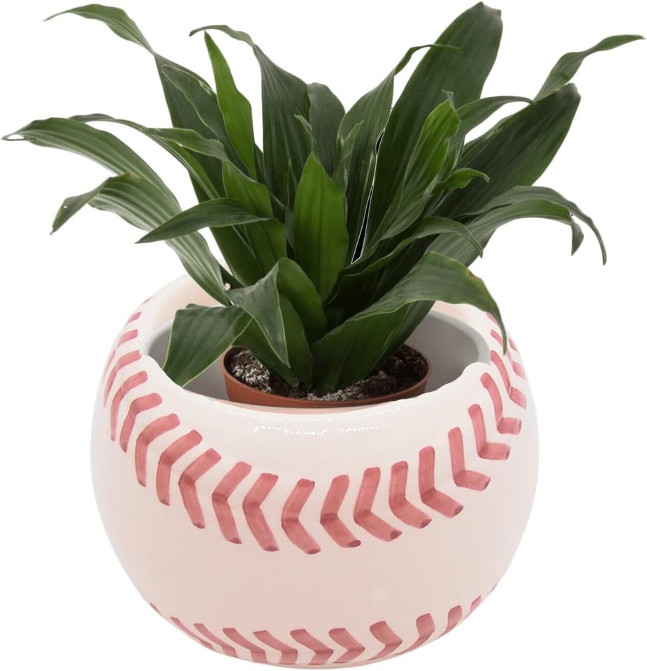 Ceramic Baseball Planter, Sports Themed Decor, Freestanding Tabletop ...