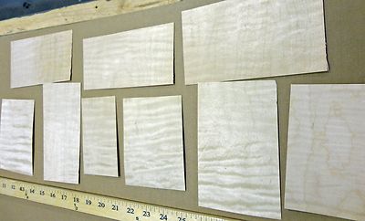 Lumber & Veneer - Tiger Maple Veneer