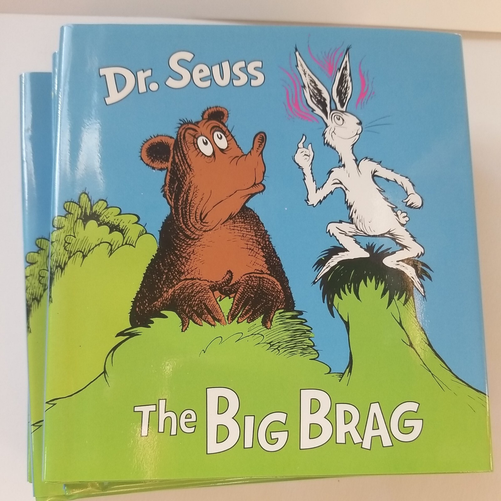 The Big Brag by Dr. Seuss (Hardcover, 1986, First Printing) Little ...