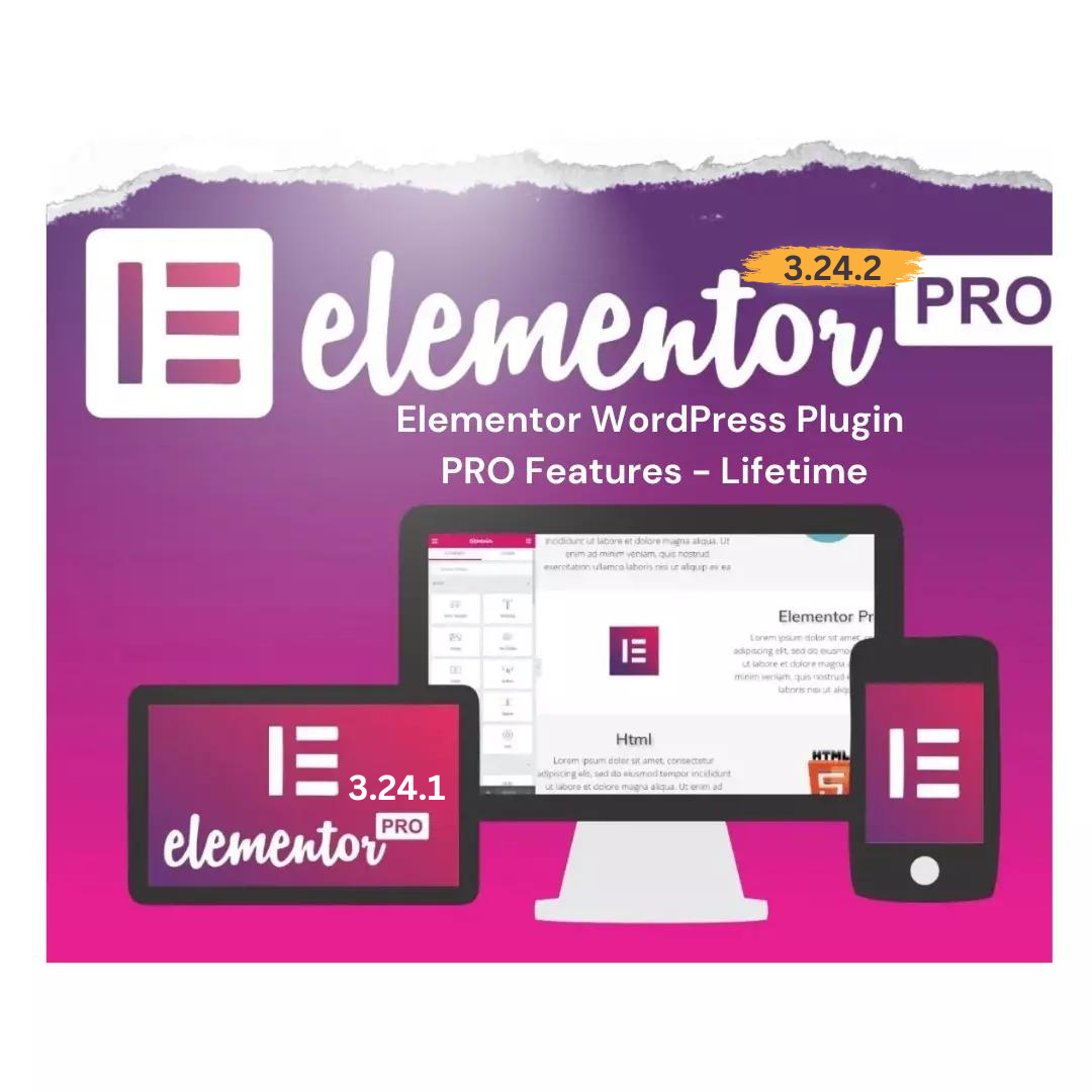 Elementor Pro 3.24.2 WordPress Plugin 3.24.3- Lifetime | eBay
