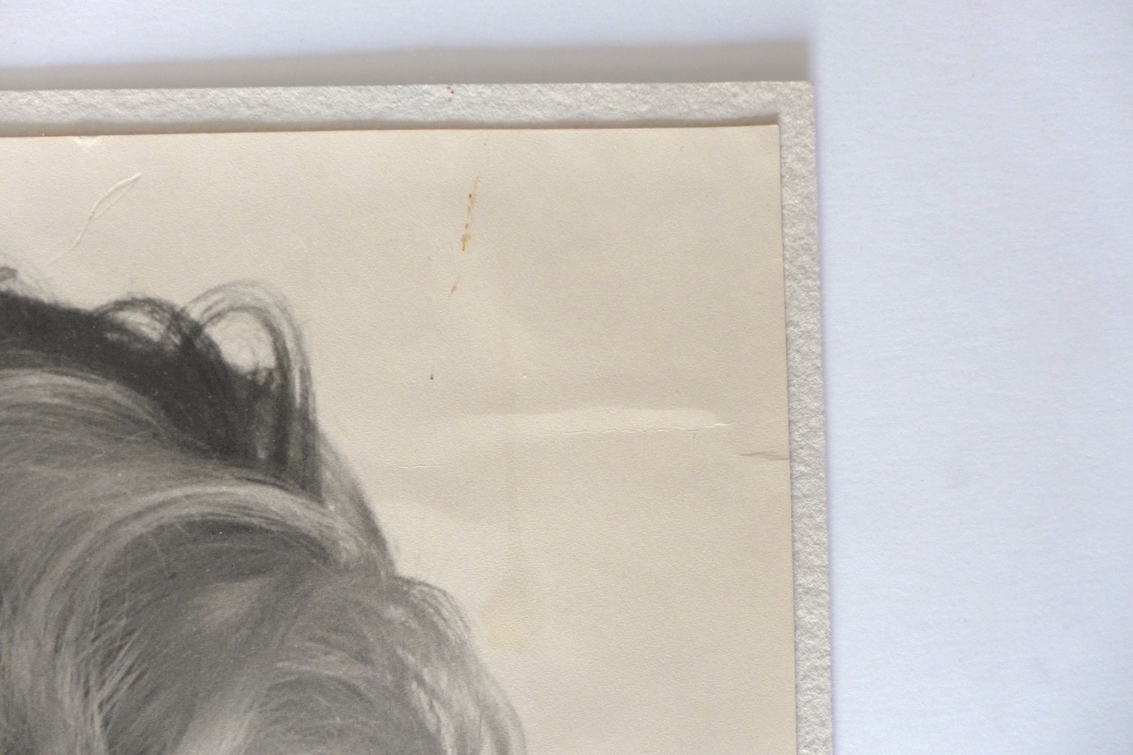 Sam Levin - Mylène Demongeot - Grand Tirage argentique 39 x 49 cm - | eBay