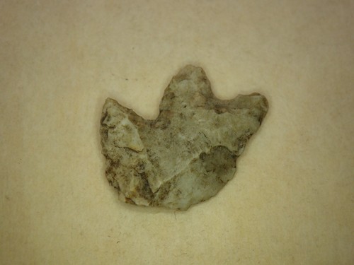 Authentic Native American Bird Point - Ancient Chert Stone Arrowhead - Small | eBay