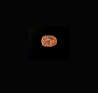 Harvinger Studios Savage Crucible Pirahnoid Coin Pre-order | eBay