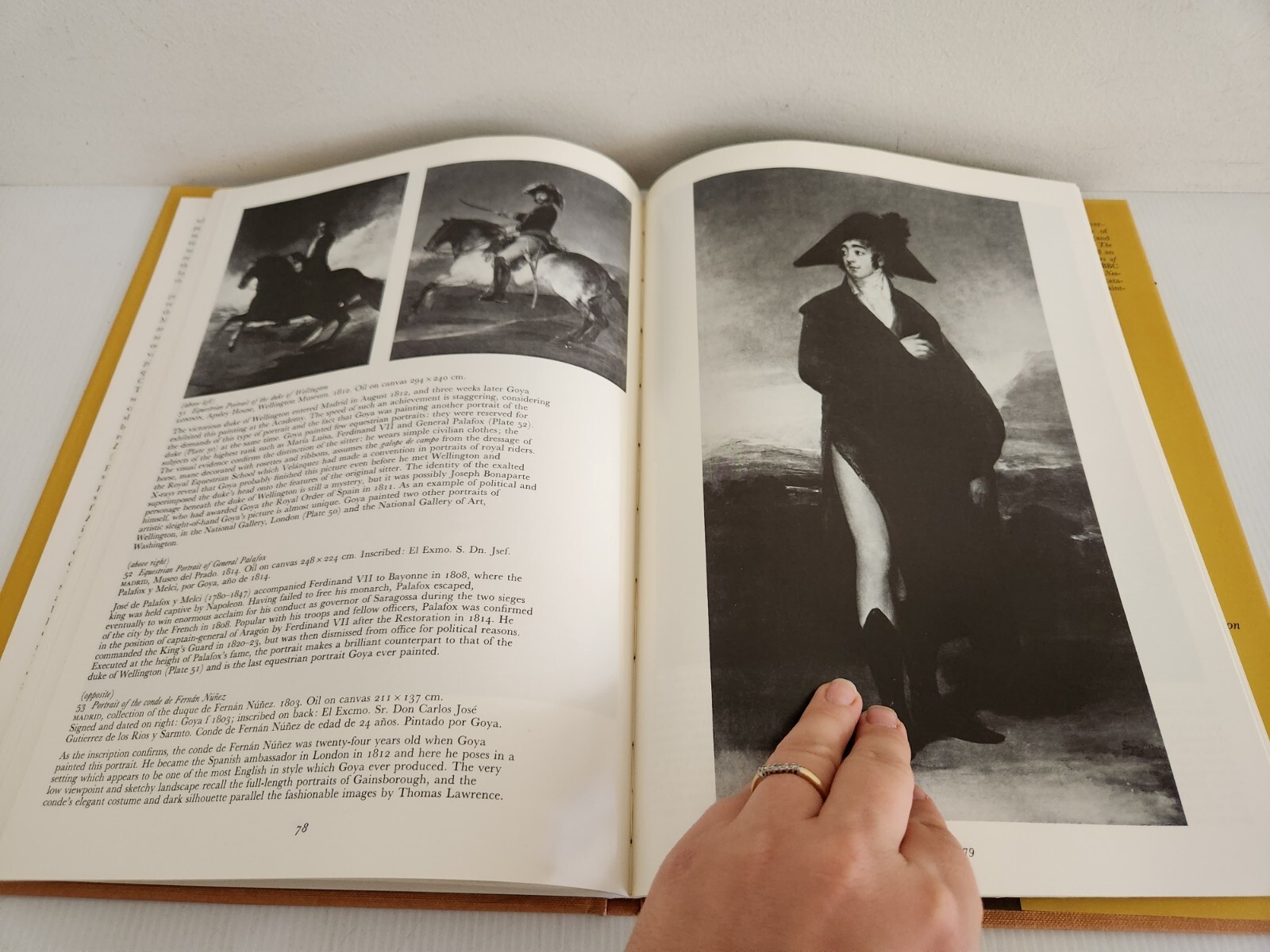 Goya - Sarah Symmons (Oresko books) Hardcover Book | eBay Australia