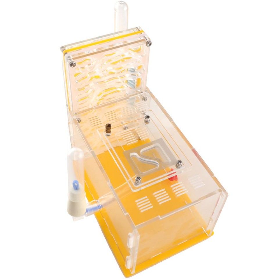 Ant House Ant Farm With Feeding Area Acryl Ant Moisture Nest Insect ...