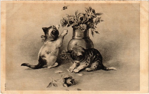 CPA AK CATS (1341386) | eBay