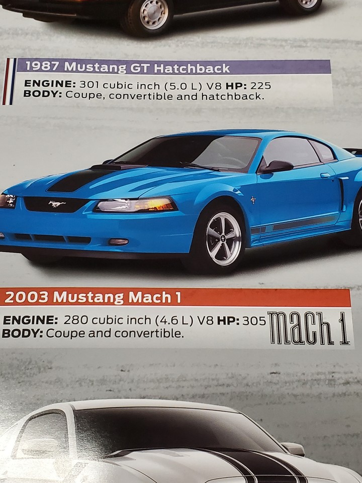 FORD MUSTANG EVOLUTION American Muscle Car History 29 Models 24x36 ...