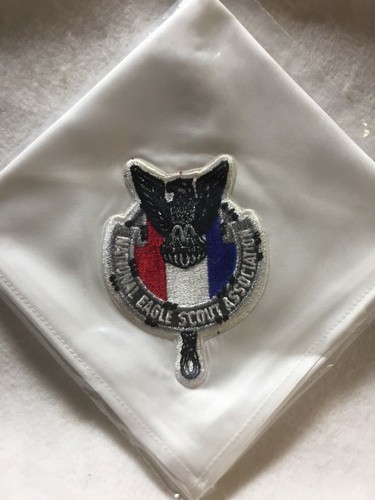(b50) Boy Scouts- NESA neckerchief with thread issues on patch sewn on ...