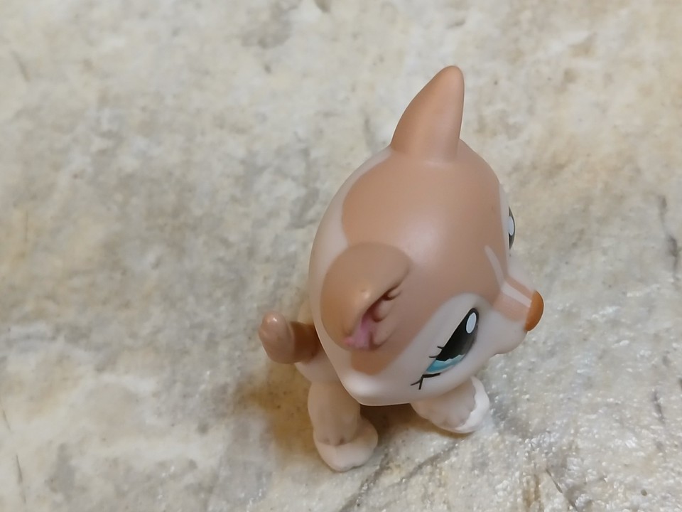 Authentic Littlest Pet Shop LPS Tan MOMMY BABY Husky Puppy Dogs #1012 ...