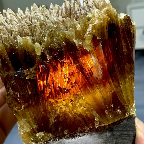 1.25LB Natural amber clachite quartz cluster crystal specimen Healing ...