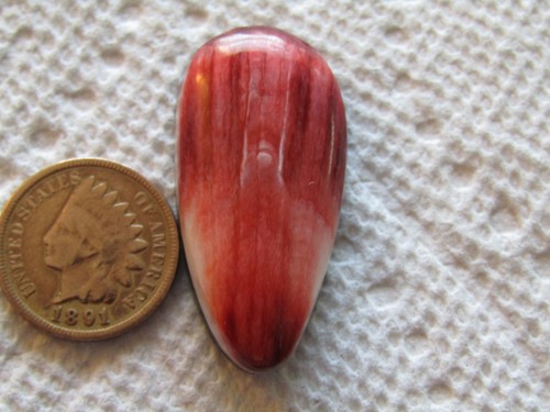 Natural Spiny Oyster Shell 39 carat Red Cabochon | eBay
