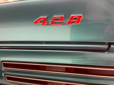 428 PONTIAC FIREBIRD TRANS AM - GTO - TRUNK EMBLEMS - NEW | eBay