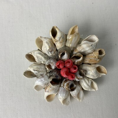 Sea Of Galilee Vintage 2000 Handmade Sea Shell Brooch | eBay