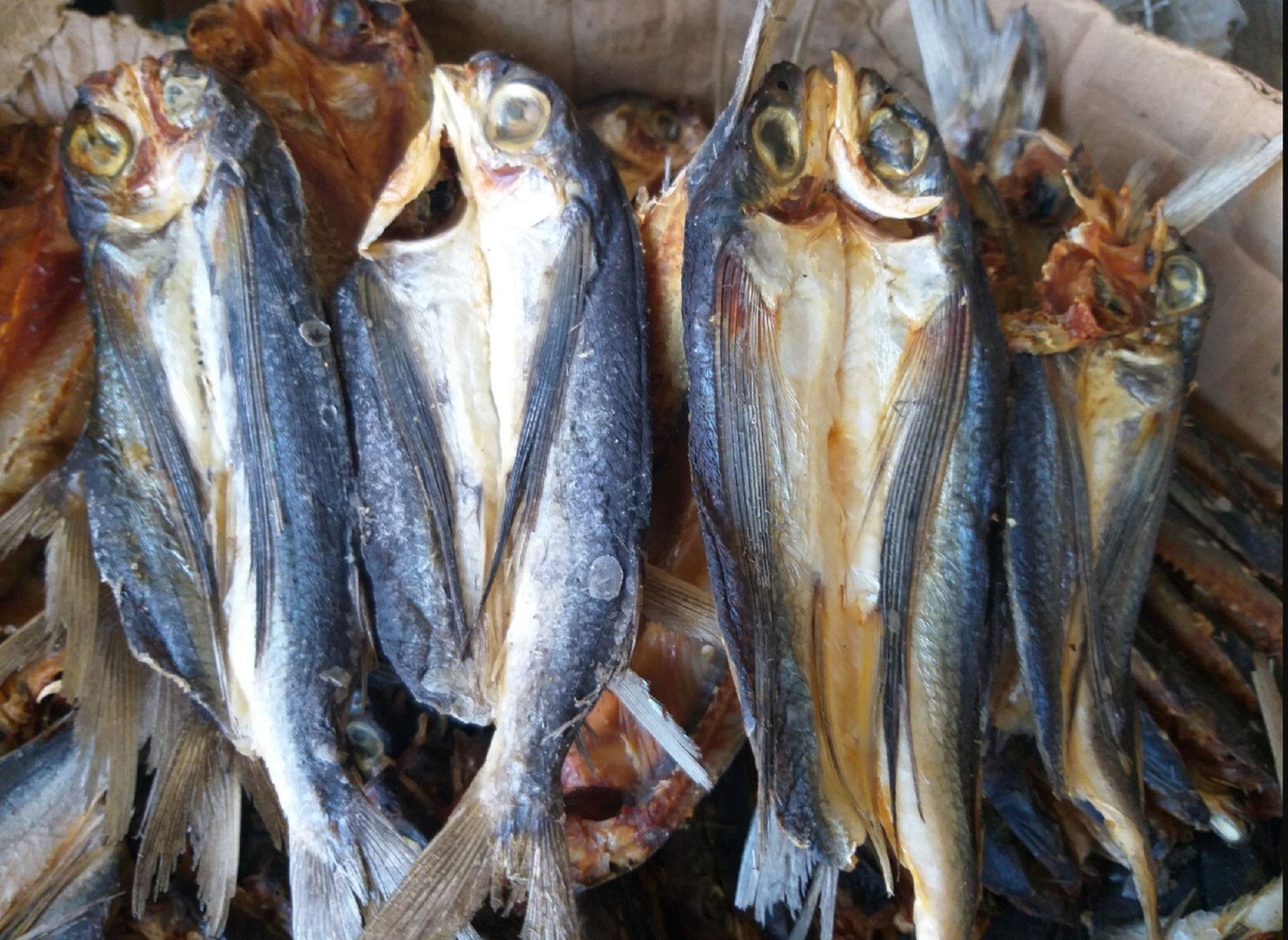 Sun Dried Flying Fish Seafood (Piyamesso Karawala) Dry Fish 100% High ...