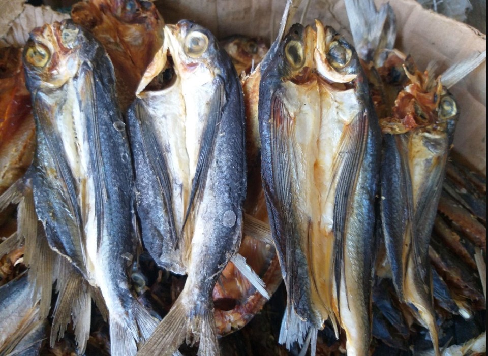 Sun Dried Flying Fish Seafood (Piyamesso Karawala) Dry Fish 100% High ...
