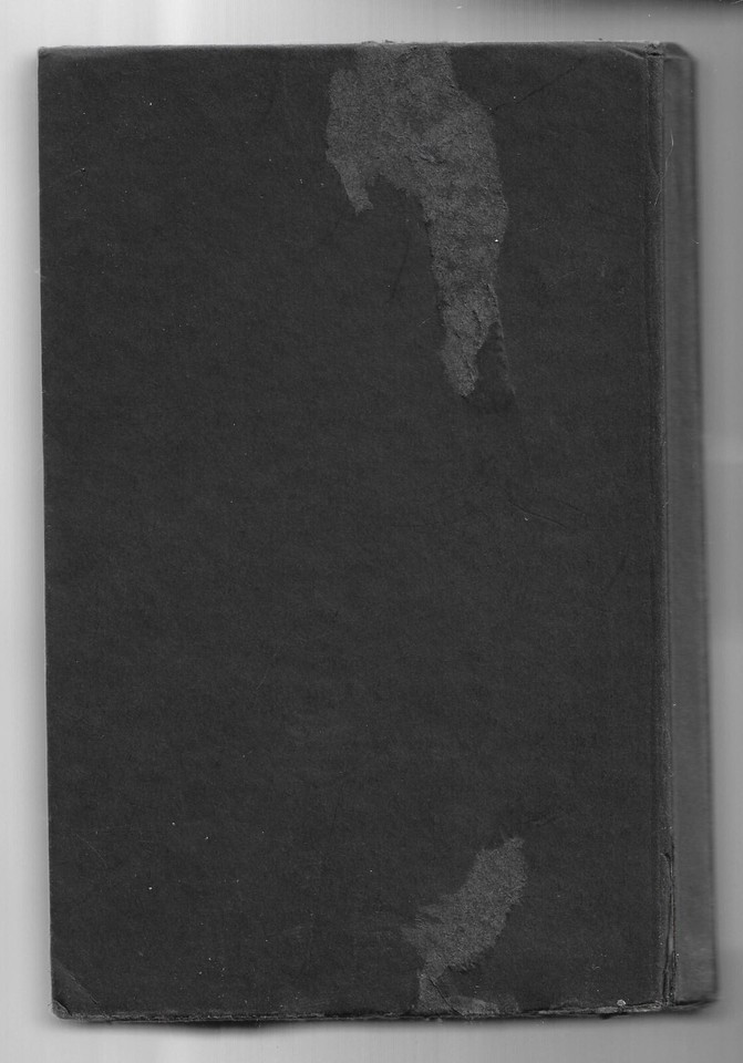 BLOOD PROMISE: A VAMPIRE ACADEMY, NOVEL BY RICHELLE MEAD, 2009 ...