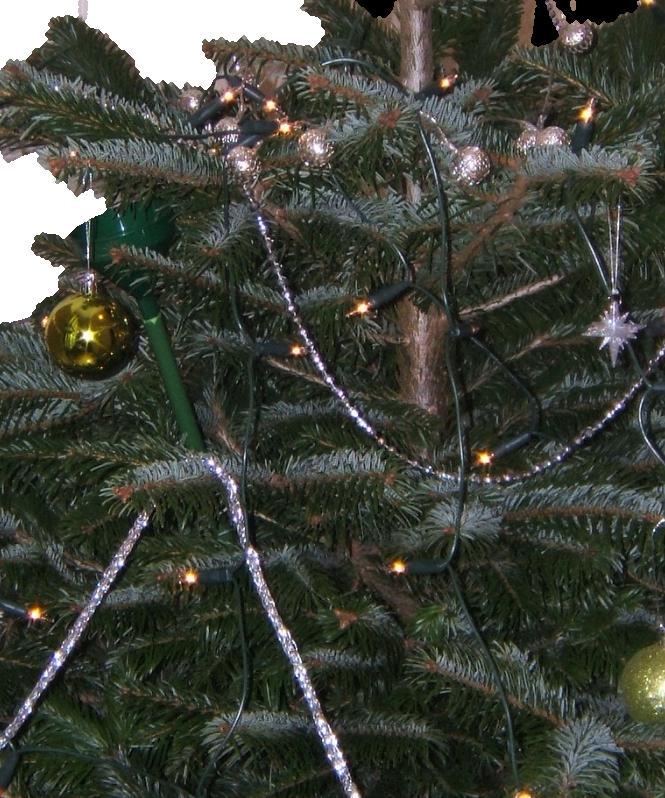 Christmas Tree Watering Funnel Christmas Tree Watering Tool Christmas