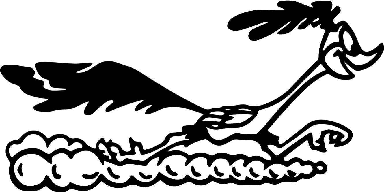 Road Runner VINYL STICKER CAR DECAL sticker, Looney Tunes, cartoon, car ...