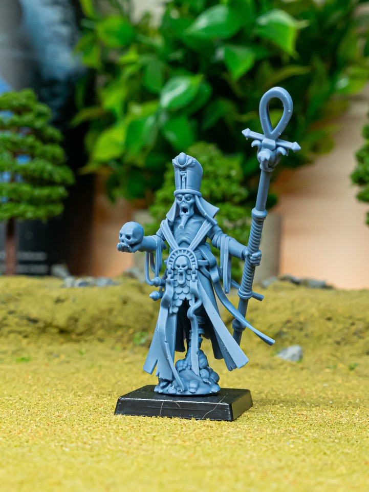 Eternal Priest - Highlands Miniatures 28mm | eBay