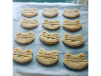 Frog Plastic Cookie Pastry Biscuit Cutter Icing Fondant Baking Clay ...