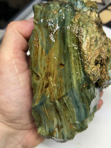 3lb 5oz High Grade GARY GREEN LARSONITE JASPER Lapidary Rough For ...