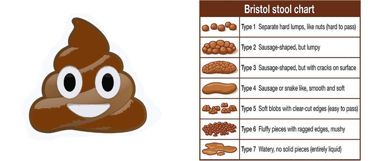 Bristol Stool Chart Wat We Kunnen Leren Van Praten Over Onze