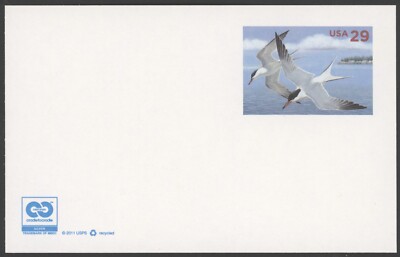 UX621 29c Common Terns, Mint Postal Card | eBay