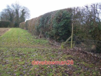 PHOTO FOOTPATH AND HEDGE LINE FOOTPATH FROM HOLLY FARM ROAD GOES ...
