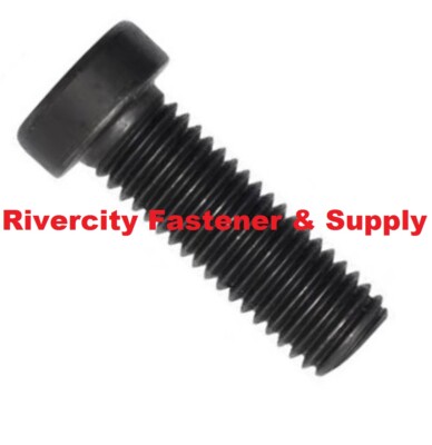 1/4-20 x 3/4 Low Head Socket Allen Cap Screws 1/4x20 x .75 Bolts 1/4 ...