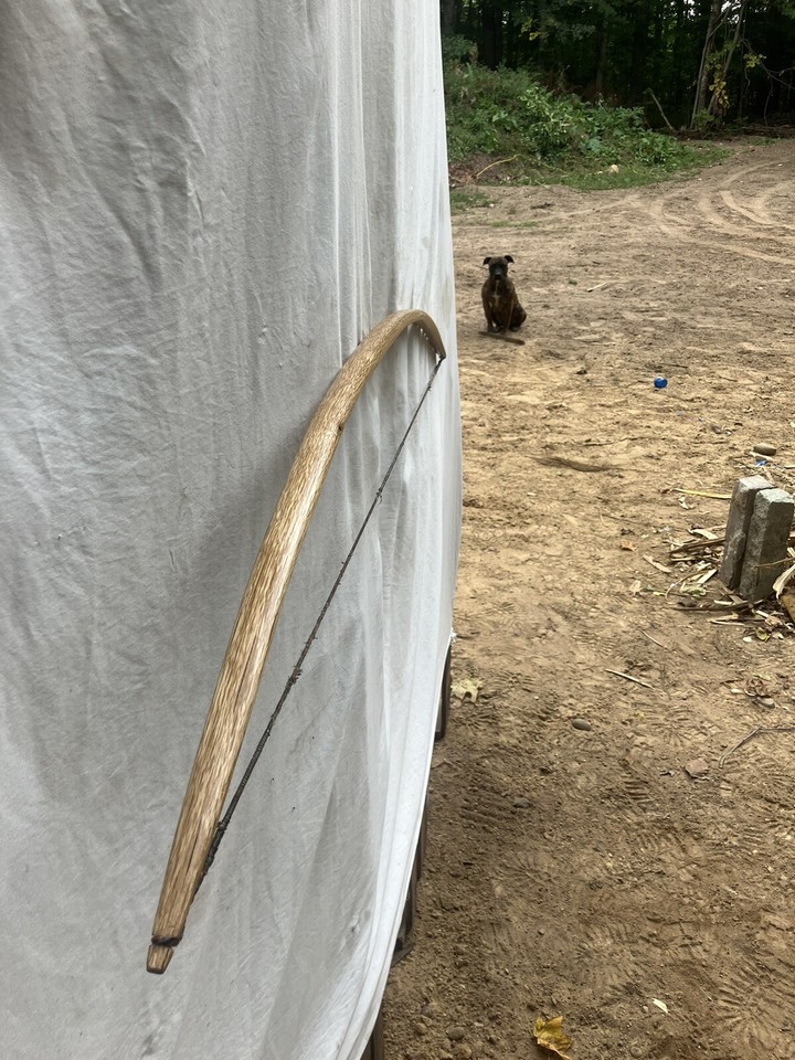 Handcrafted White Oak Self Bow Neolithic Longbow 60 Lb @28”-30”and 50 ...