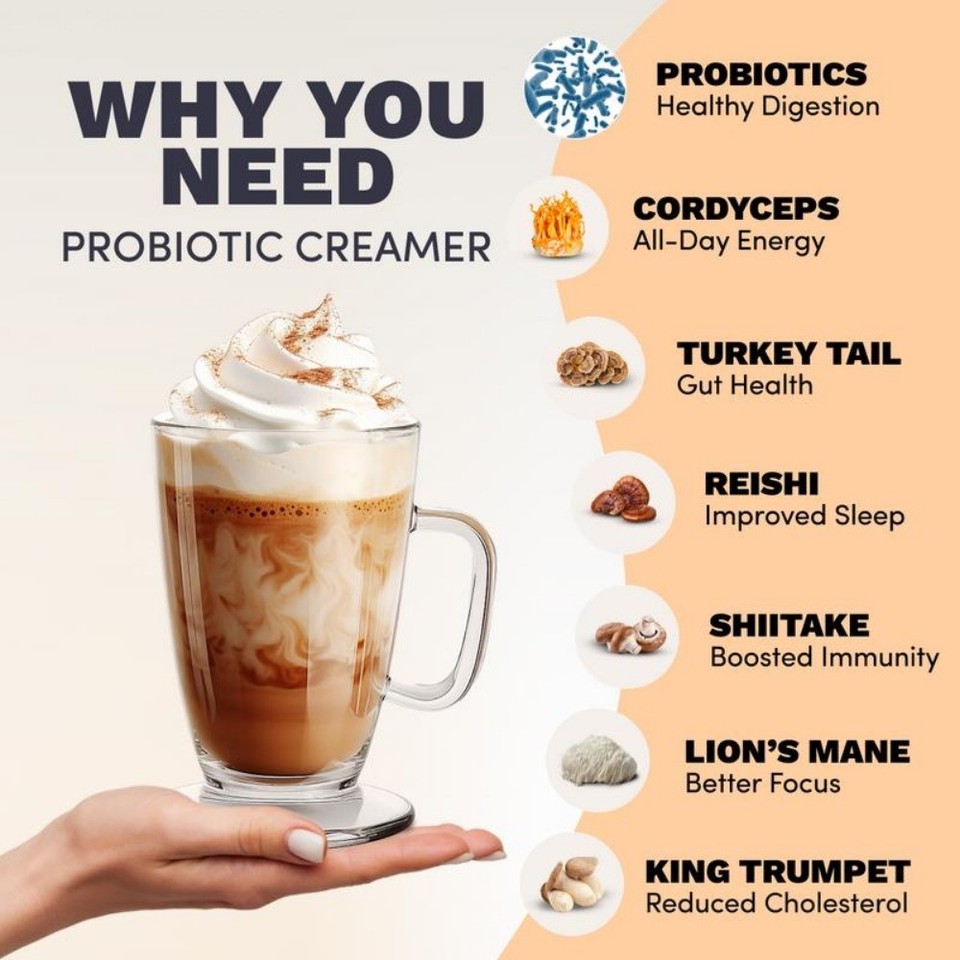 Superfood Probiotic Coffee Creamer with 6 Organic Adaptogenic Mushrooms ...