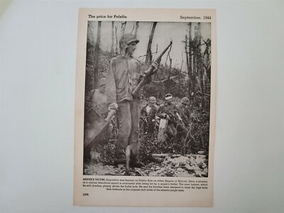 Peleliu Marine Demolition Squad 1944 World War 2 WW2 Picture Sheet | eBay