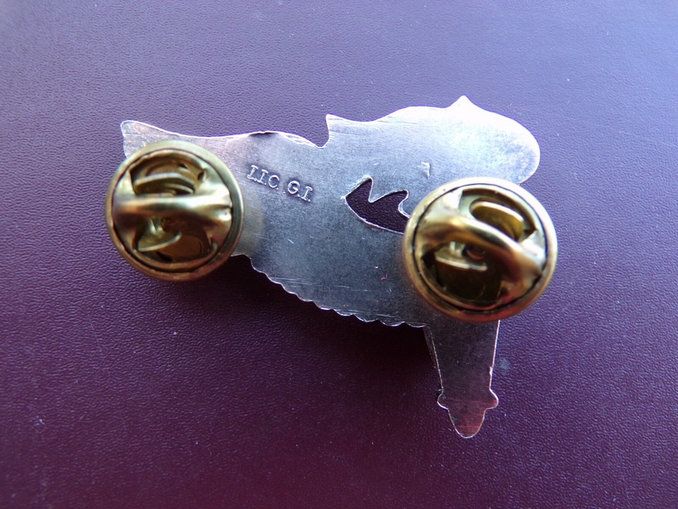 Pathfinder Skull Wing Badge Military Airborne LZ DZ Operations US Army ...