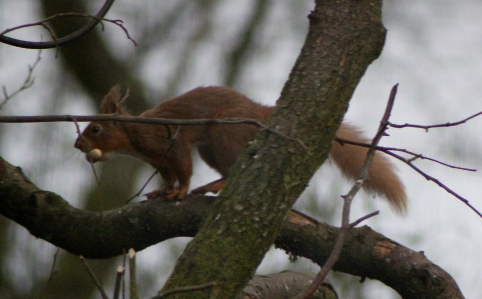 EASTER IN HIGHLAND PERTHSHIRE for up to 4 people (dog friendly) | eBay UK