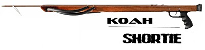 Koah Shortie Speargun | eBay