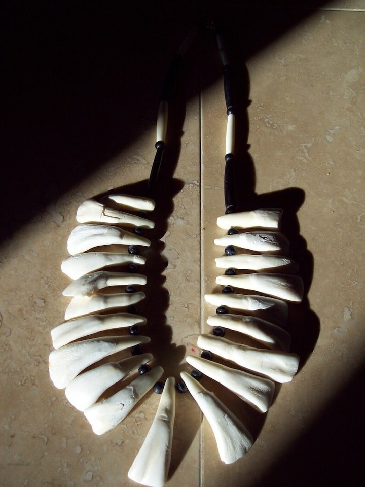 buffalo tooth necklace Native American made Mountain Man rendezvous ...