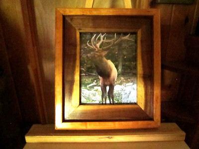 Adirondack style Rustic Picture Frame. New price !!! | eBay