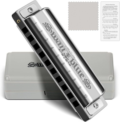 10 Hole Diatonic Harmonica in C , Brass Reed for Beginners, Stainless ...