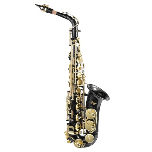 Golden Professional Alto Eb Saxophone Sax W/ Case Mouthpiece ...