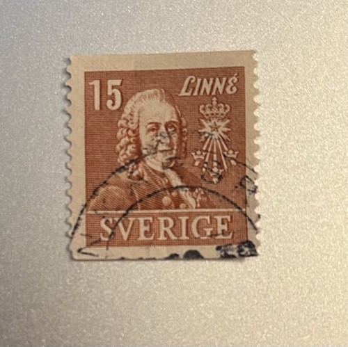 1939 Sweden Carl von Linne Stamp USED NEVER HINGED | eBay