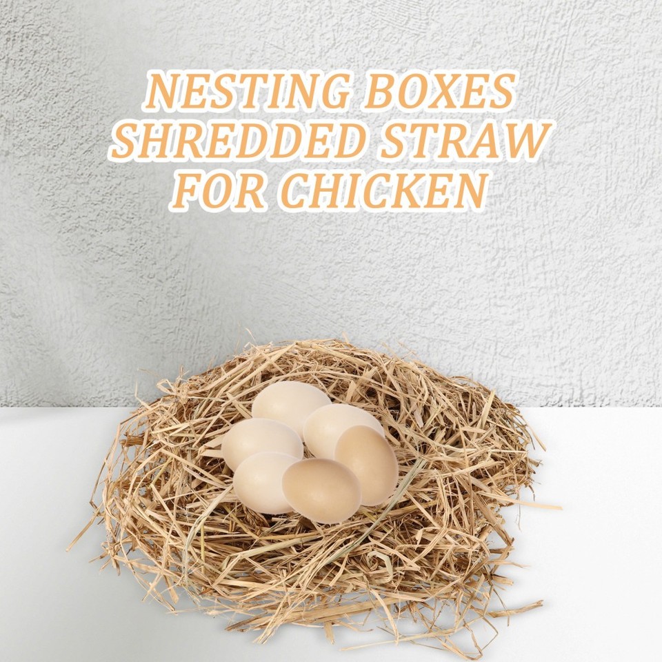 Chicken Bedding for Brooder Coop Nest Box Straw Nesting Material | eBay ...