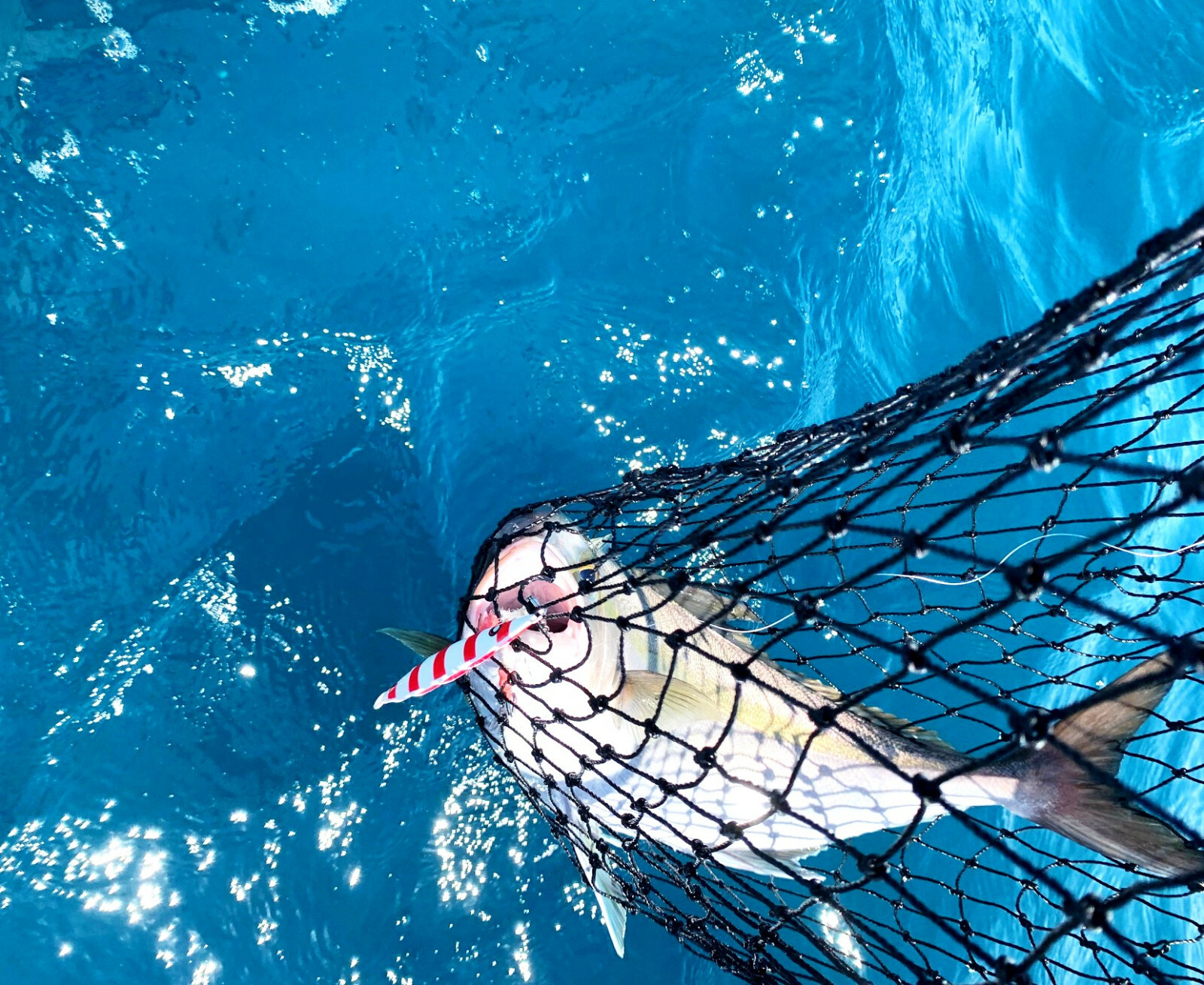 "KILLER~JIGG'S" Slow Pitch Vertical Jig~Jigging Fishing Lure Jig Bait ...