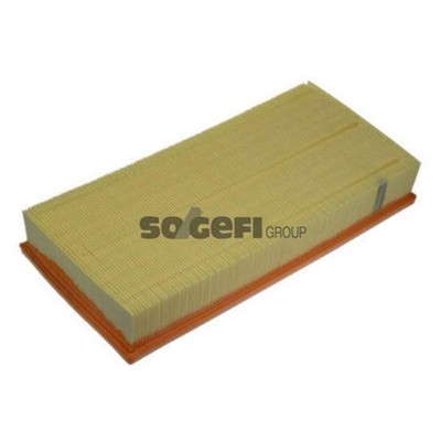 Purflux Air Filter A1255 | eBay Australia