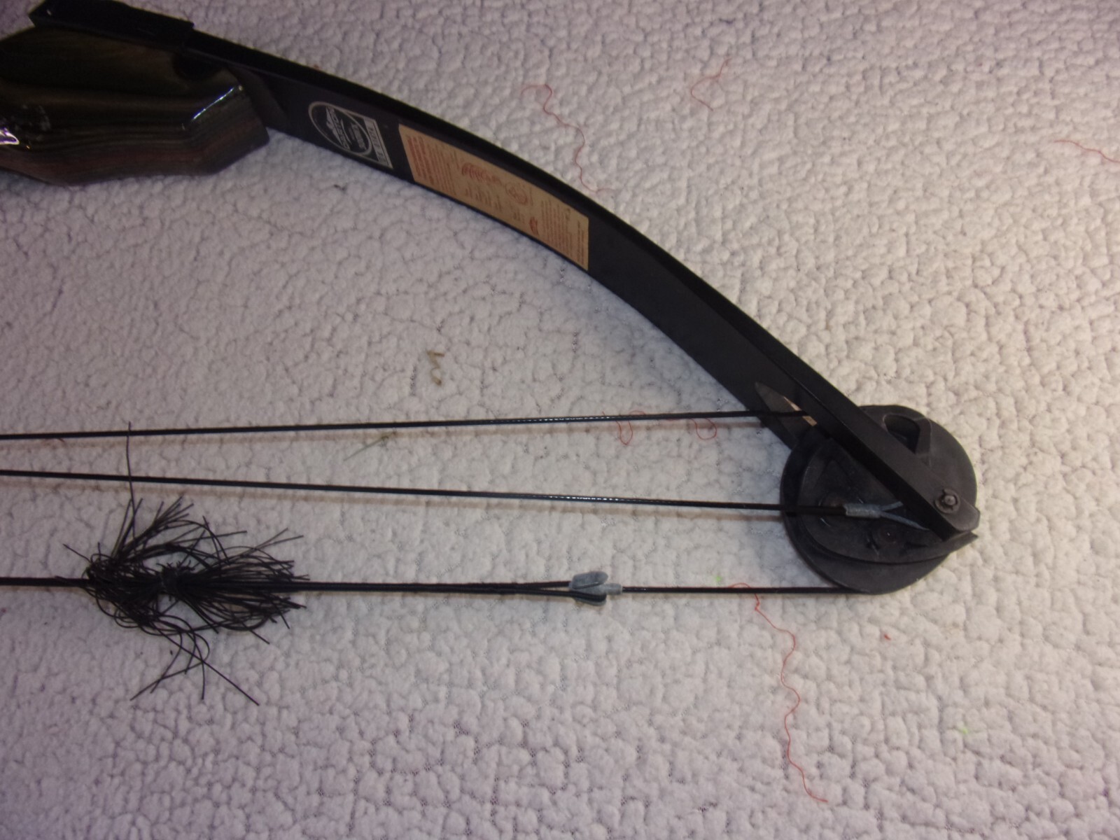 Darton 300WX Compound Bow | eBay
