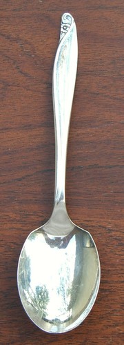 Wm A Rogers Flowertime Pattern Silver Plate Sugar Shell Spoon Oneida | eBay