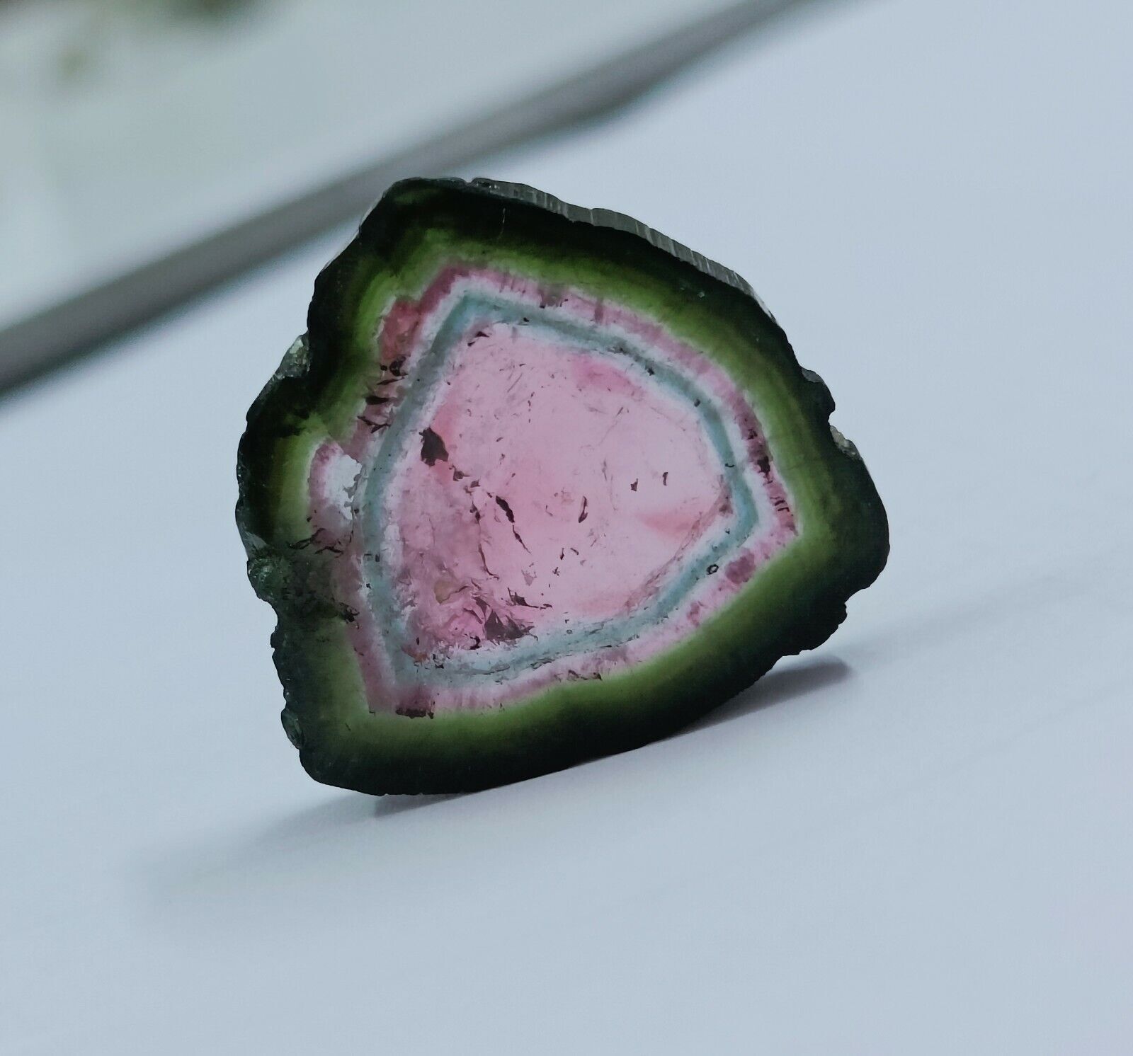 Tourmaline Bi-Color Polished Watermelon Slice 1 Pc. 24.20 Ct Natural ...