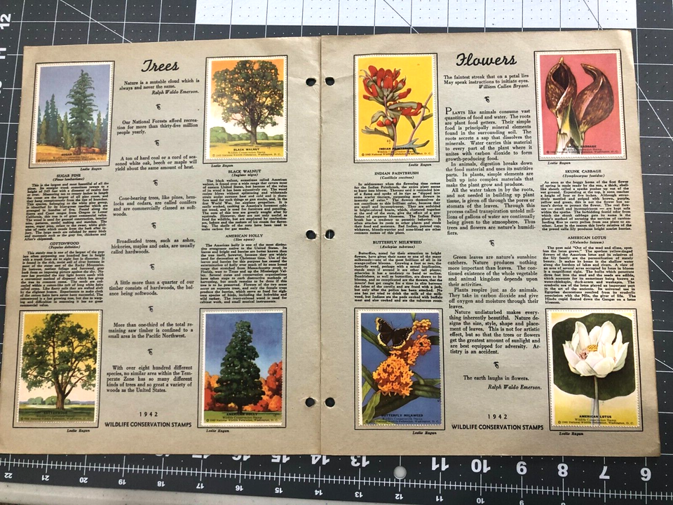 1942 NWF Wildlife Poster Stamp Album National Wildlife Federation ...