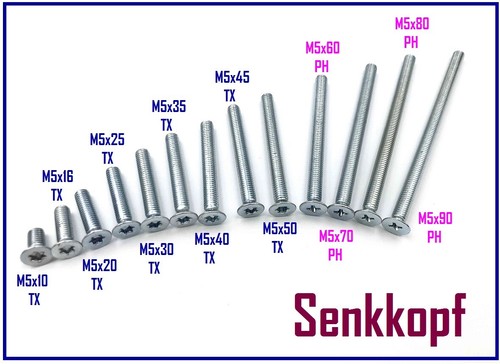 10 Stück ISO 7046 Senkkopfschraube M5x40 TX25 Torx Stahl verzinkt | eBay.de