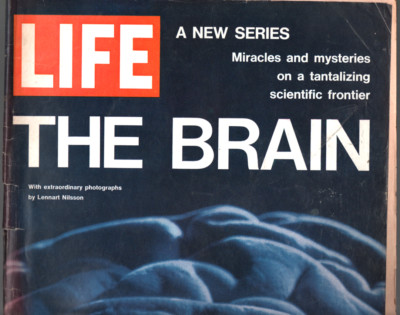 LIFE MAGAZINE OCTOBER 1 1971 THE BRAIN | eBay